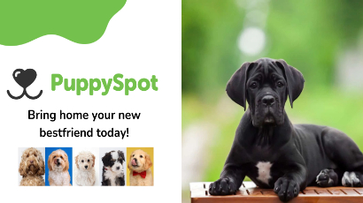 Save With Discounts, Coupon Code & Exclusive Offers 2025